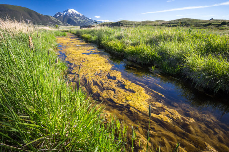 Yellowstone River Ranch - Montana | Fay Ranches