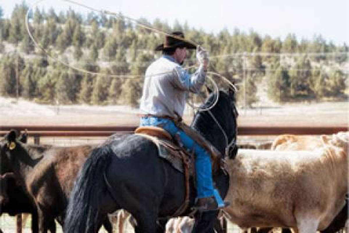 Jerry Hicks | Oregon Farm Ranch Real Estate Broker | Fay Ranches