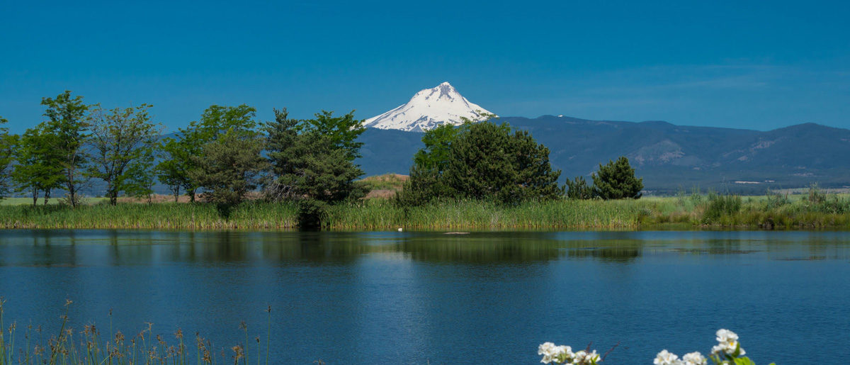 Fay Ranches | Brokering The Finest Ranches and Land For Sale