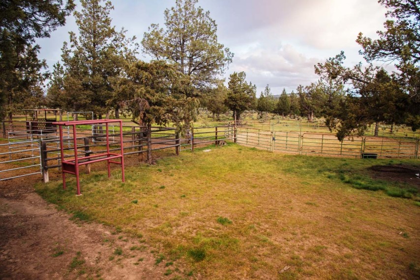 Rocky Top Ranch - Oregon | Fay Ranches