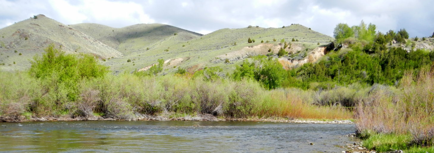 Beaverhead Springs Ranch - Montana | Fay Ranches
