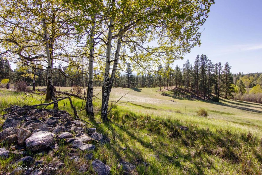 Wapiti Ranch - Montana | Fay Ranches