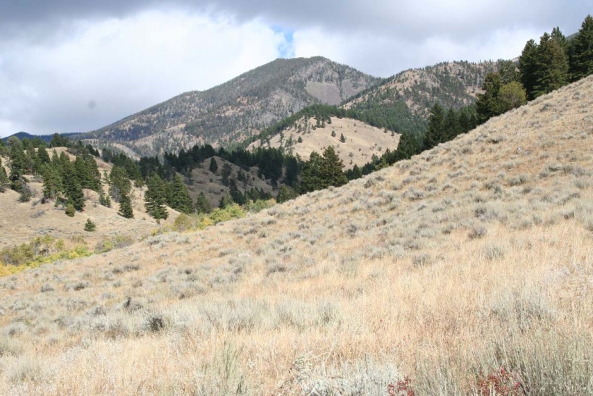 Springhill Mountain Ranch - Twin Creeks - Montana | Fay Ranches