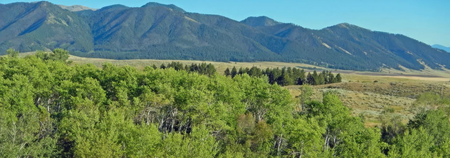 Springhill Mountain Ranch - Twin Creeks - Montana | Fay Ranches