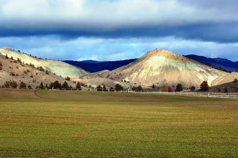 Hicks Team – Fay Ranches LLC | Fay Ranches