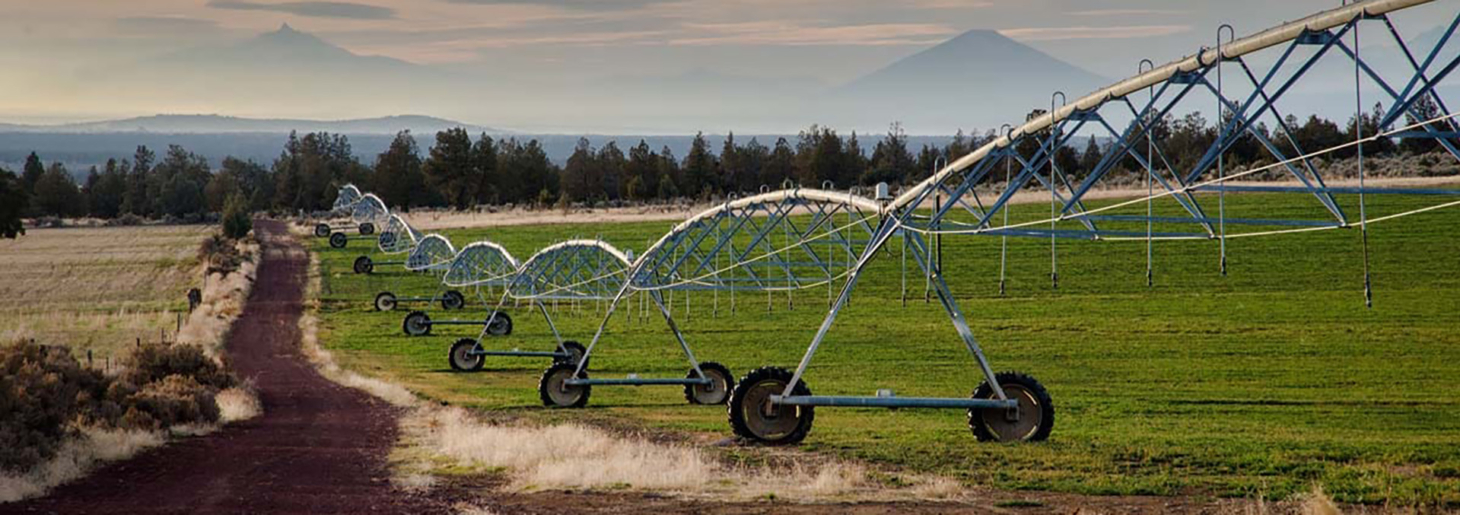 Mountain View Hay & Cattle Ranch - Oregon | Fay Ranches