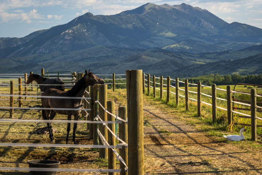 Gallatin View Ranch - Montana | Fay Ranches