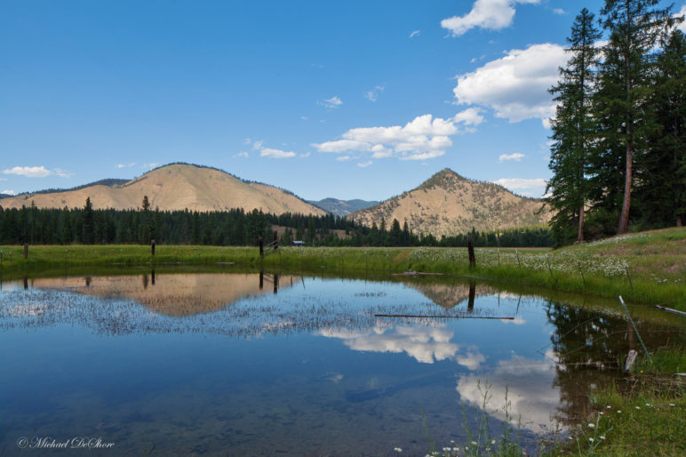 Black Bear Ranch - Montana | Fay Ranches