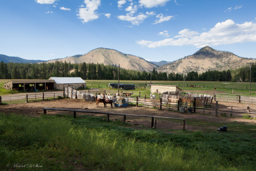 Black Bear Ranch - Montana | Fay Ranches