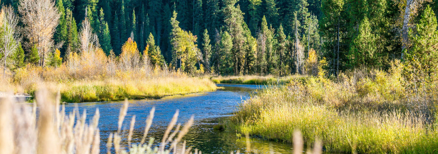 Fay Ranches | Brokering The Finest Ranches and Land For Sale