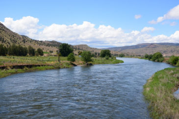 Fay Ranches | Brokering The Finest Ranches and Land For Sale