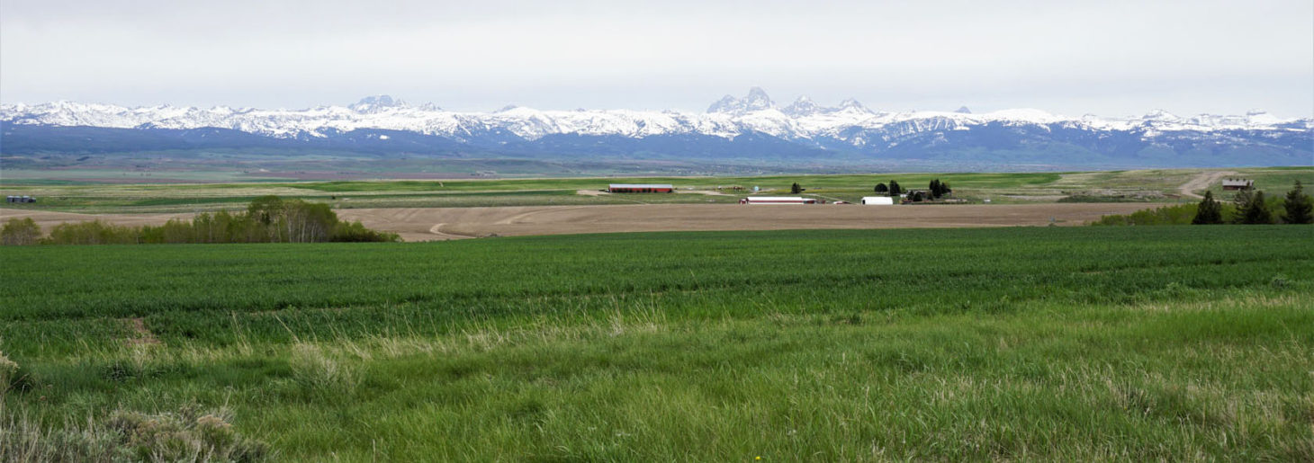 Fay Ranches | Brokering The Finest Ranches and Land For Sale