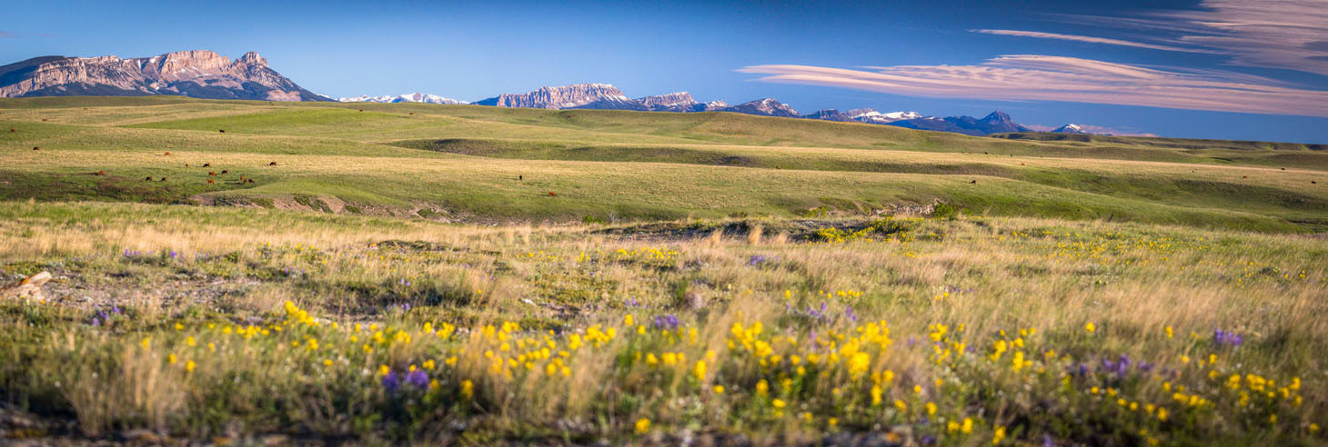 Fay Ranches | Brokering The Finest Ranches and Land For Sale