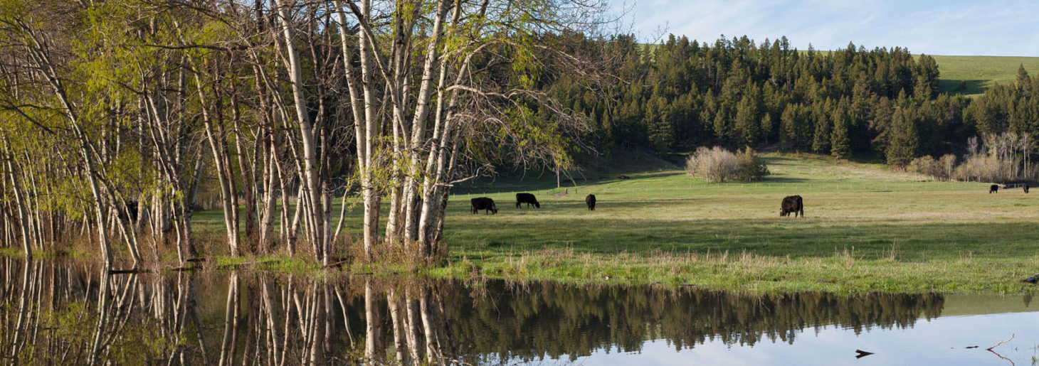 Fay Ranches | Brokering The Finest Ranches and Land For Sale