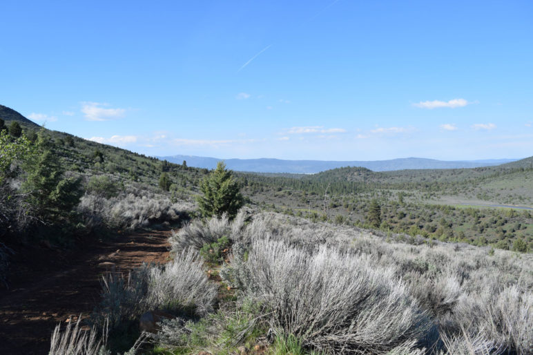 Summit Flat, Oregon | Fay Ranches