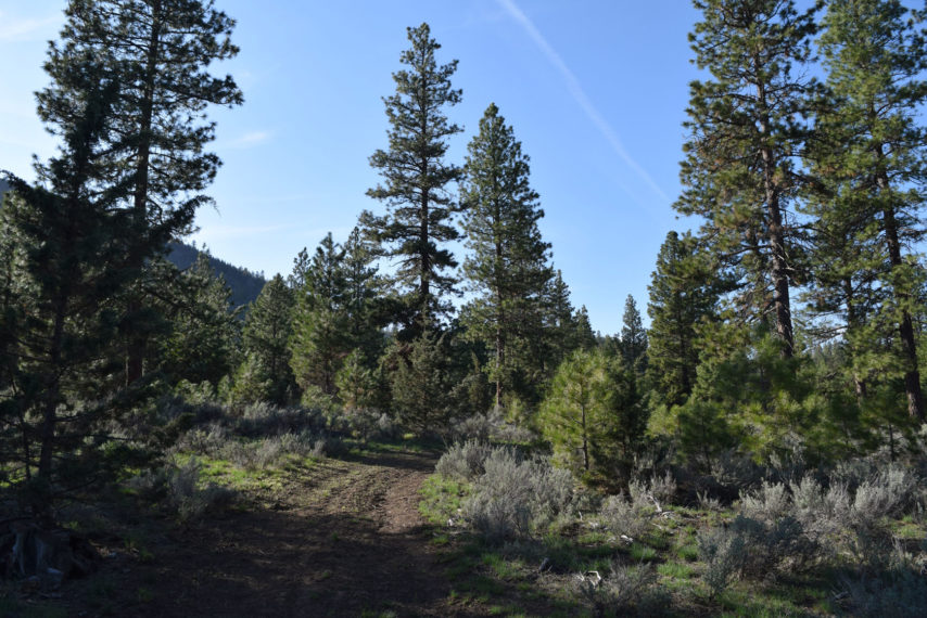 Summit Flat, Oregon | Fay Ranches