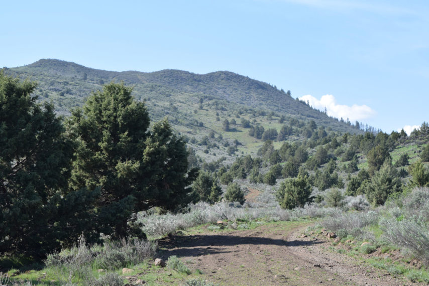 Summit Flat, Oregon | Fay Ranches