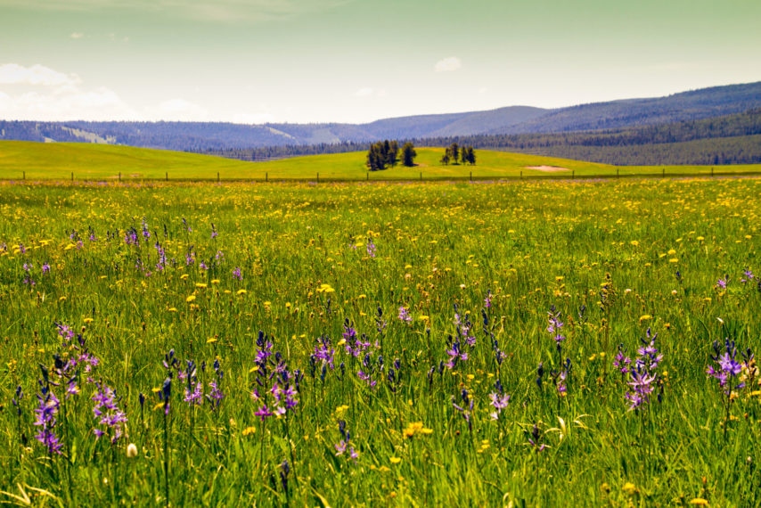 Yellowstone Basin Ranch | Fay Ranches