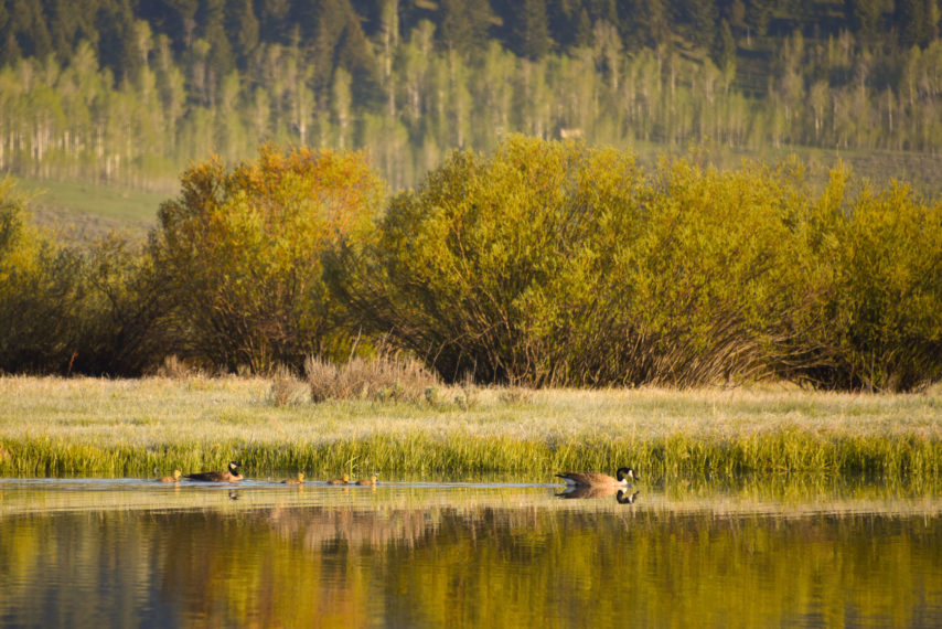 Yellowstone Basin Ranch | Fay Ranches