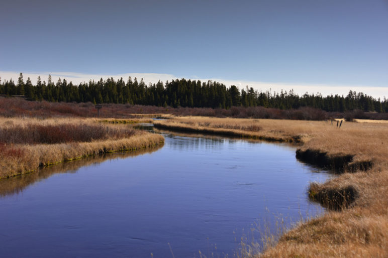 Yellowstone Basin Ranch | Fay Ranches