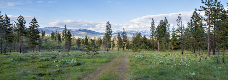 Wild Horse Mountain Ranch | Missoula Montana | Fay Ranches