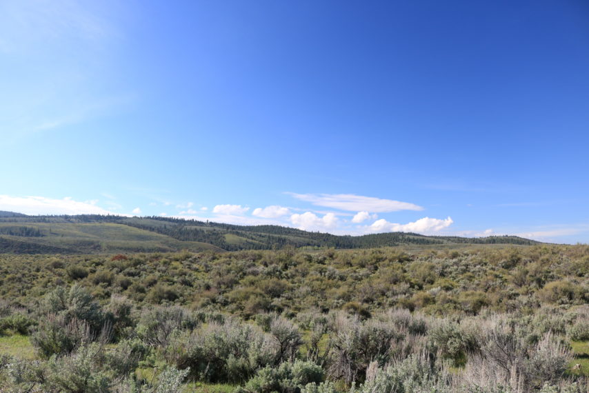 Flying S Ranch | World-Class Hunting Oregon | Fay Ranches