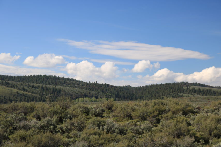 Flying S Ranch | World-Class Hunting Oregon | Fay Ranches