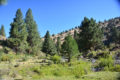 Flying S Ranch | World-Class Hunting Oregon | Fay Ranches