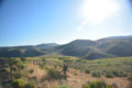 Flying S Ranch | World-Class Hunting Oregon | Fay Ranches