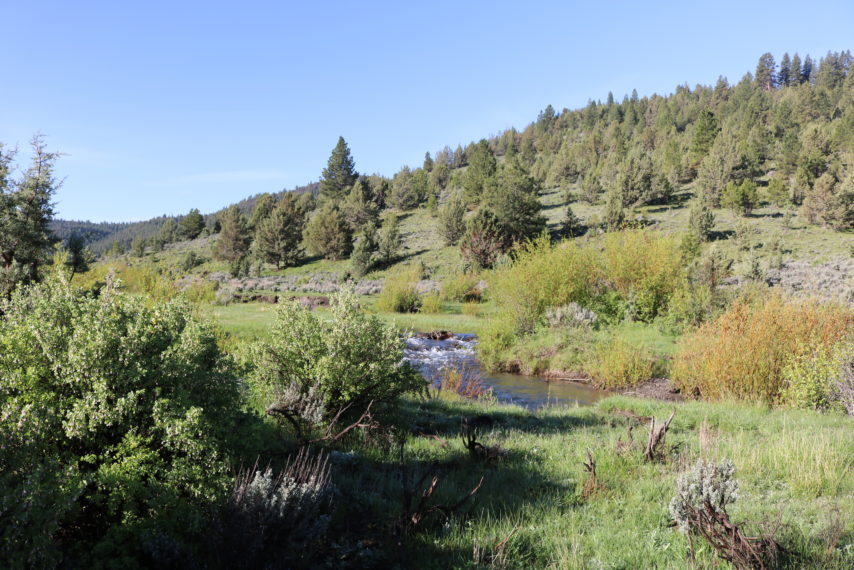 Flying S Ranch | World-Class Hunting Oregon | Fay Ranches