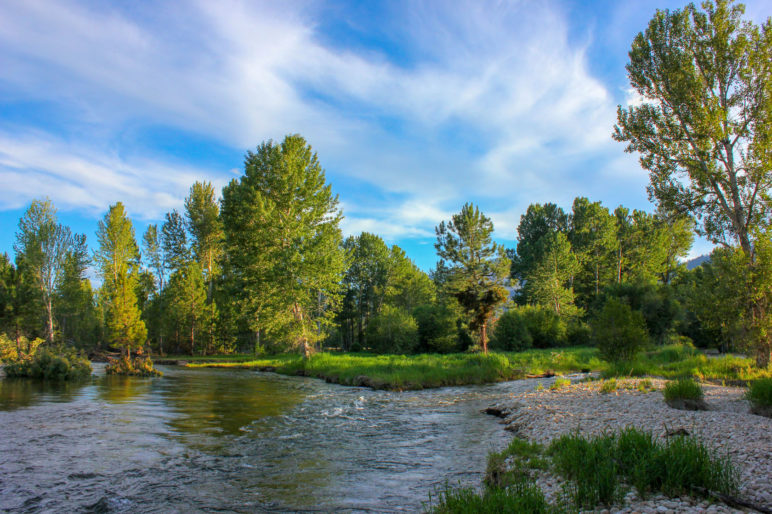 Bitterroot River Valley Ranch | Fay Ranches
