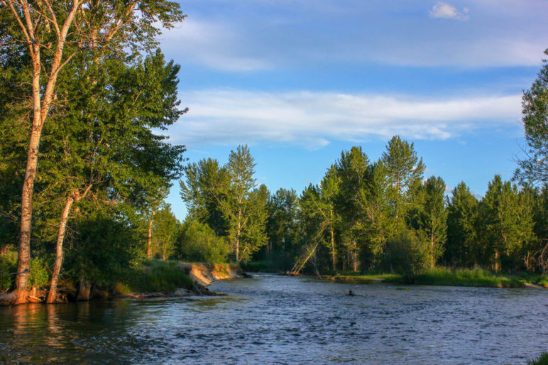 Bitterroot River Valley Ranch | Fay Ranches