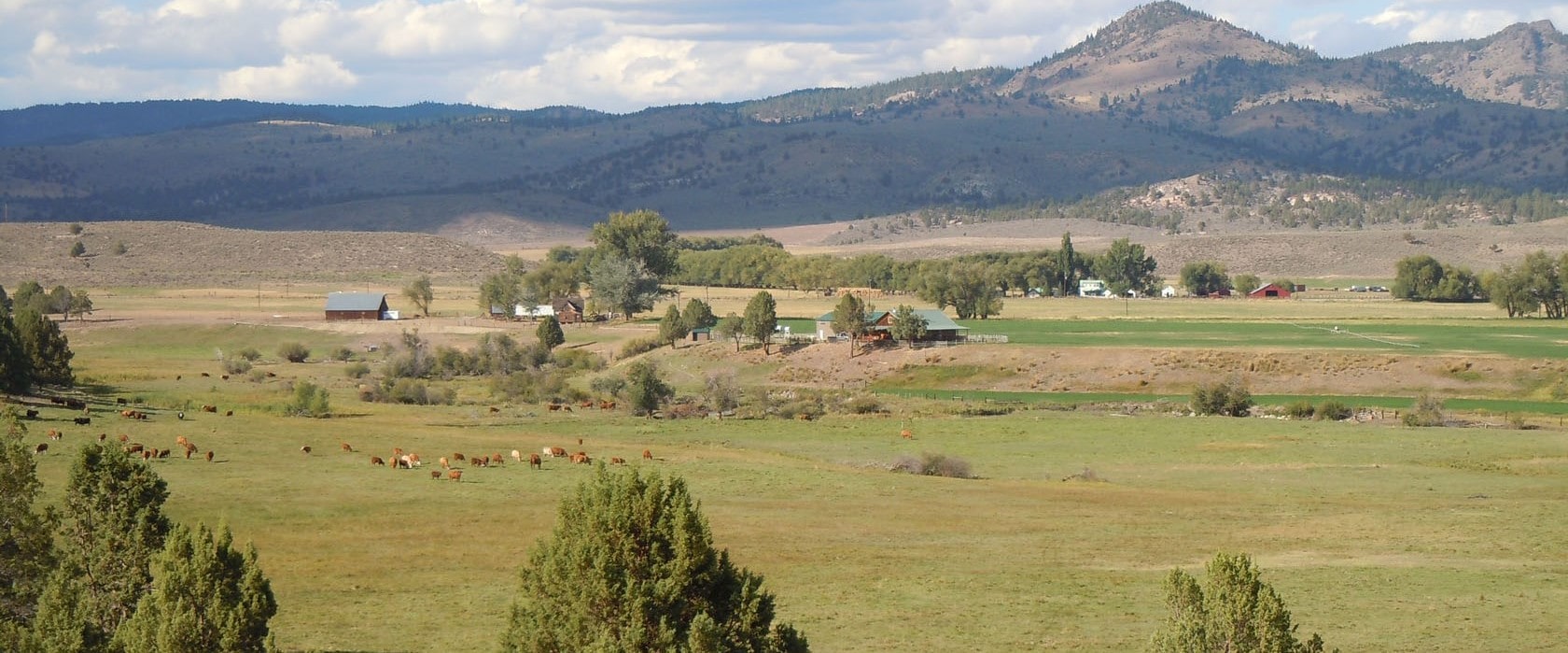 The Silva Ranch | Fay Ranches