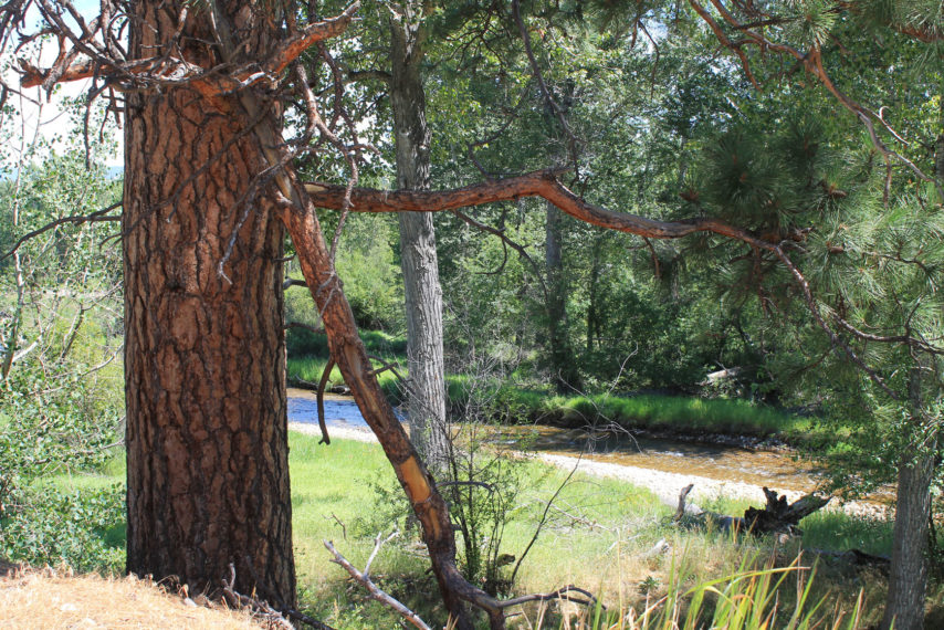 Bitterroot River Valley Ranch | Fay Ranches