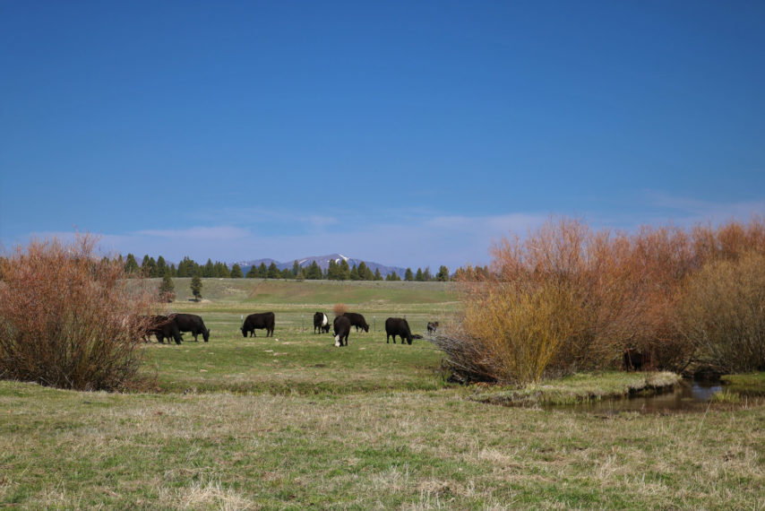 Bear Valley 96 Ranch - Seneca, Oregon | Fay Ranches
