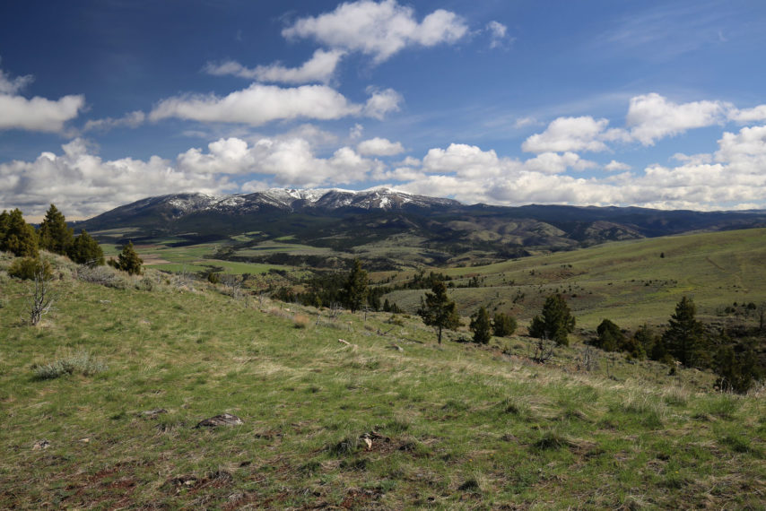 Greyson Canyon Ranch | Fay Ranches