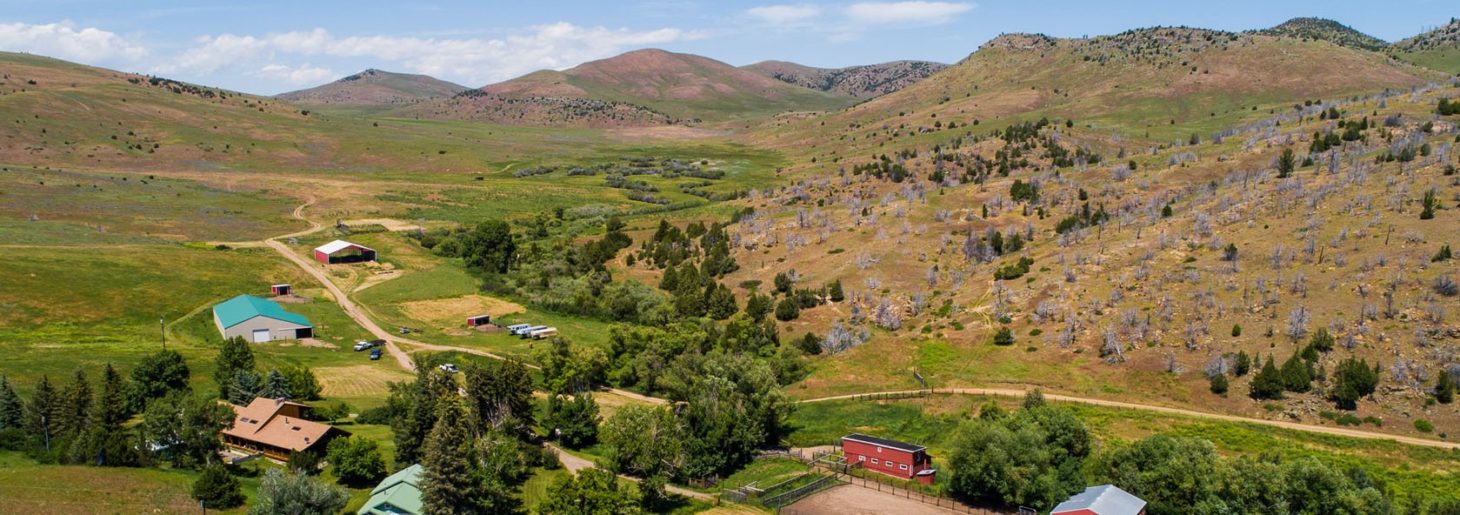 Cold Springs Ranch | Montana Elk Hunting | Fay Ranches