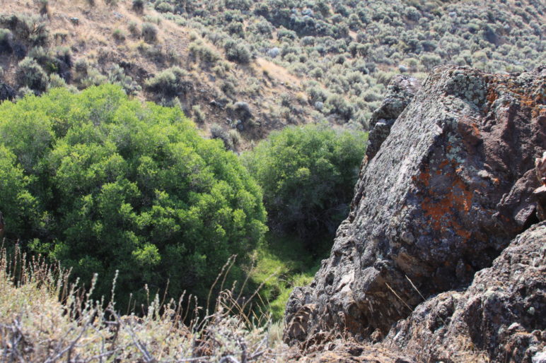 Moser Ranch | Nevada and Oregon Ranch | Fay Ranches