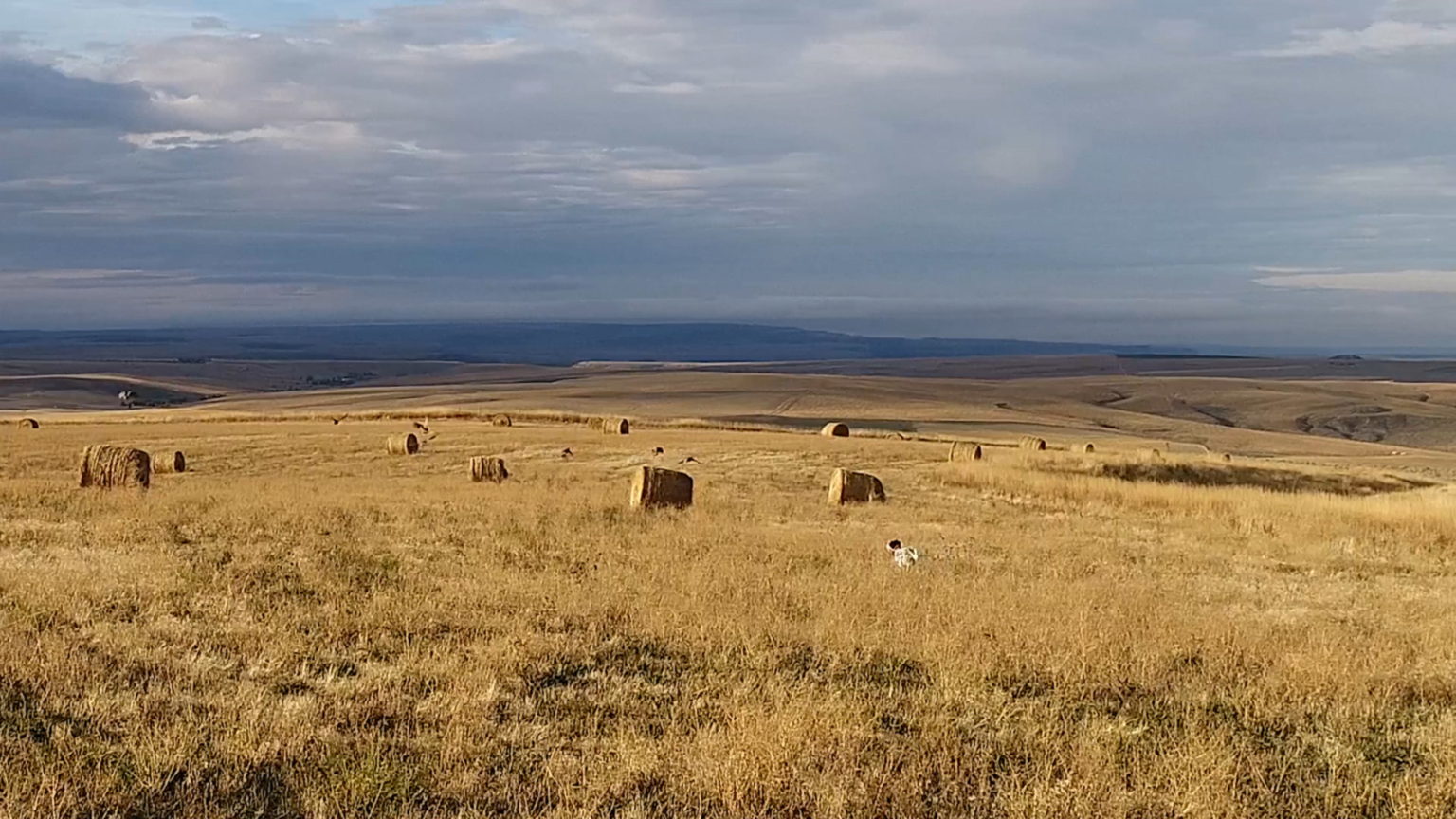 Rockin 99 Ranch | Fay Ranches