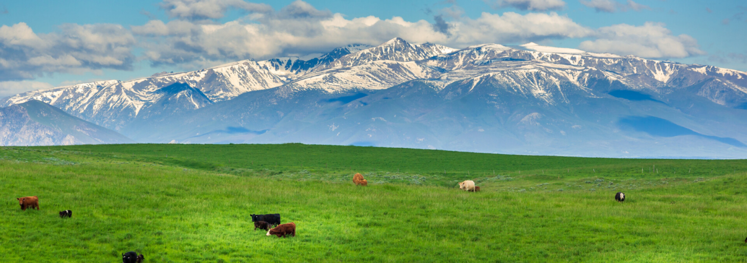 Rockin 99 Ranch | Fay Ranches