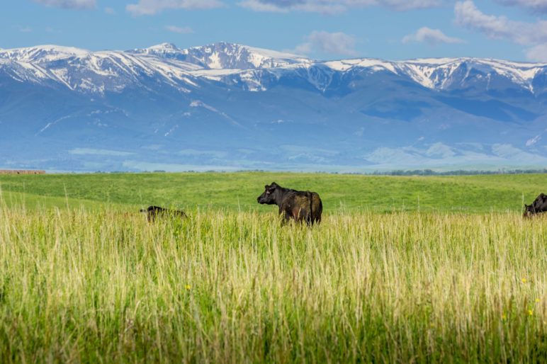 Rockin 99 Ranch | Fay Ranches