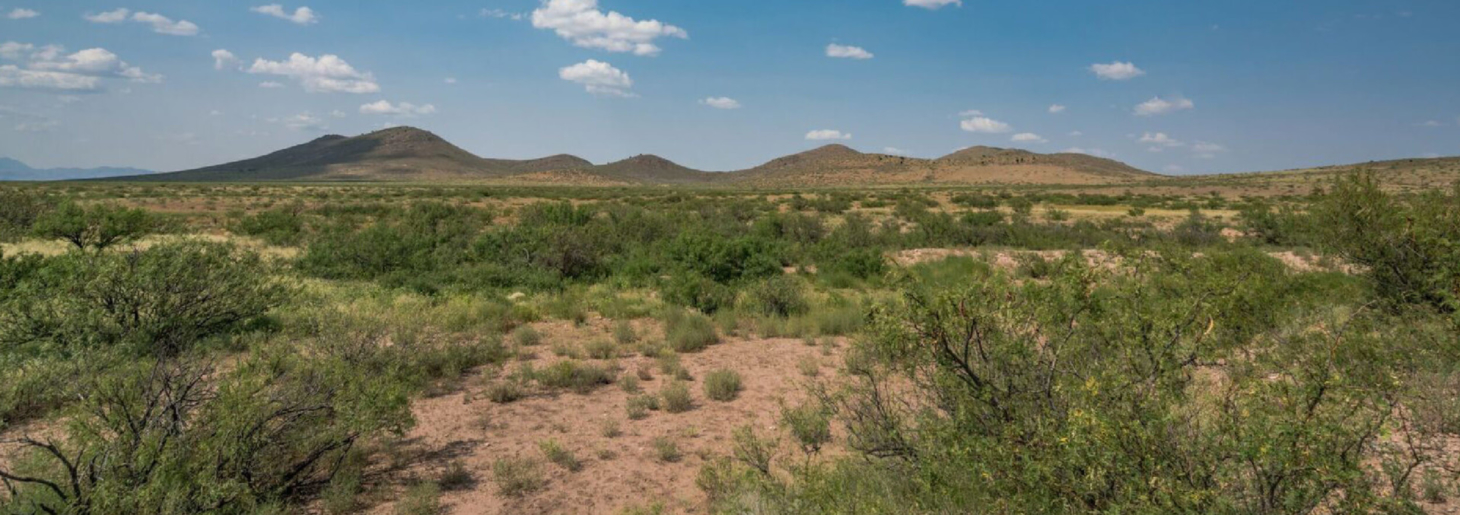 Chihuahuan High Desert Ecosystem | Fay Ranches