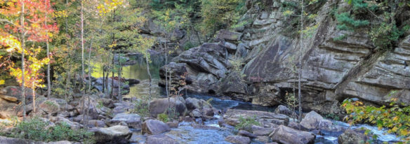 Georgia Ranch Land Properties For Sale | Fay Ranches