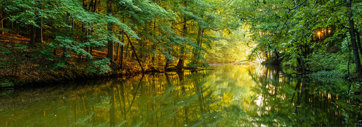 Alabama Ranch Land Properties For Sale | Fay Ranches