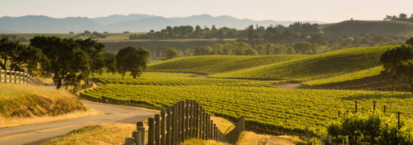 California Ranch Land Properties For Sale | Fay Ranches