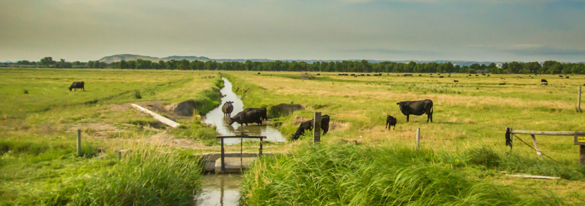 Nebraska Ranch Land Properties For Sale | Fay Ranches