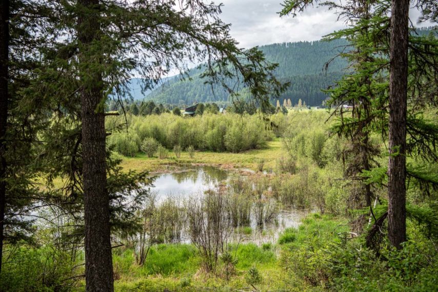 Moose Meadow Ranch | Trout Creek Montana | Fay Ranches