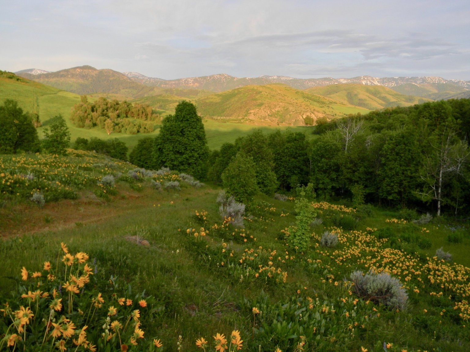High Desert Ranch | Hunting and Cattle Ranch | Fay Ranches