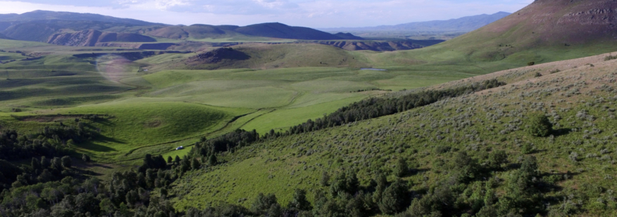 High Desert Ranch | Hunting and Cattle Ranch | Fay Ranches