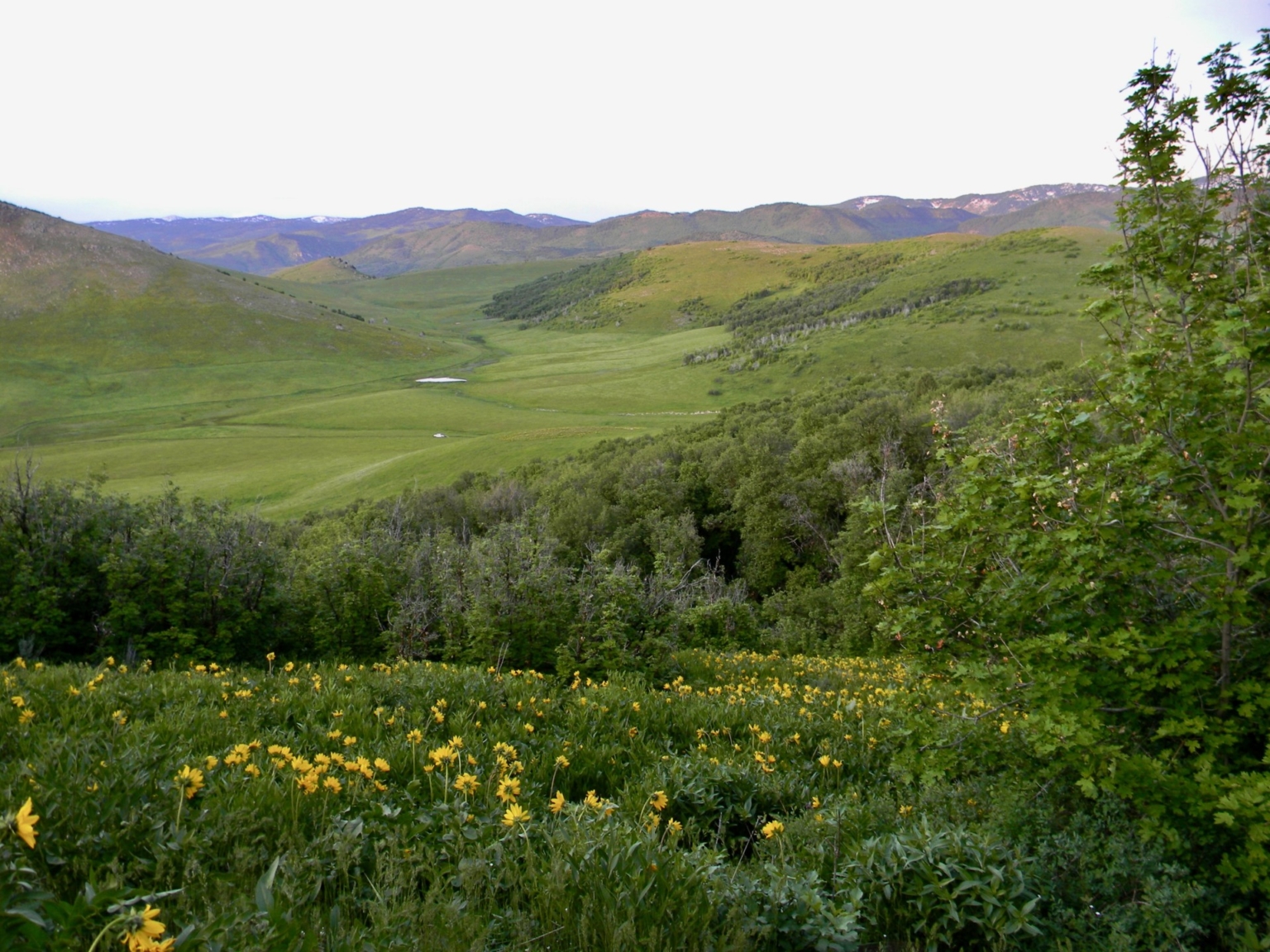 High Desert Ranch | Hunting and Cattle Ranch | Fay Ranches